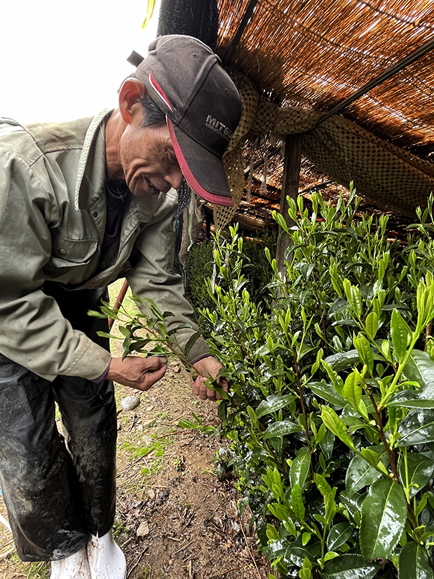 Reisebericht: Kurogi, Miyama, 15. April 2023