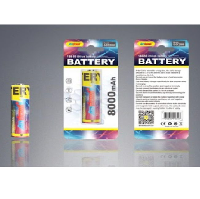 ANDOWL 18650 AA LITHIUM BATTERY 8000MAH Q-DC2000 | G for Gadget