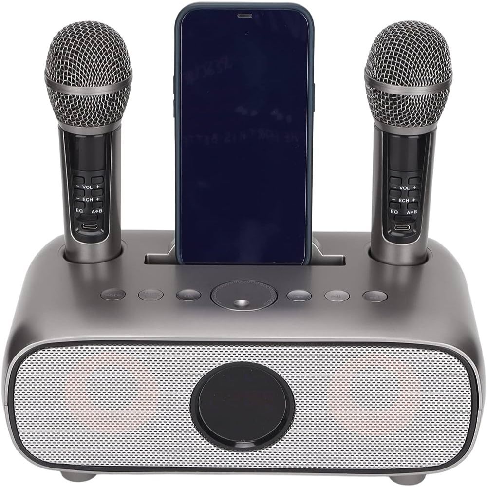 Σύστημα Karaoke με ασύρματα μικρόφωνα SDRD SD-316 σκούρο γκρι | G for ...