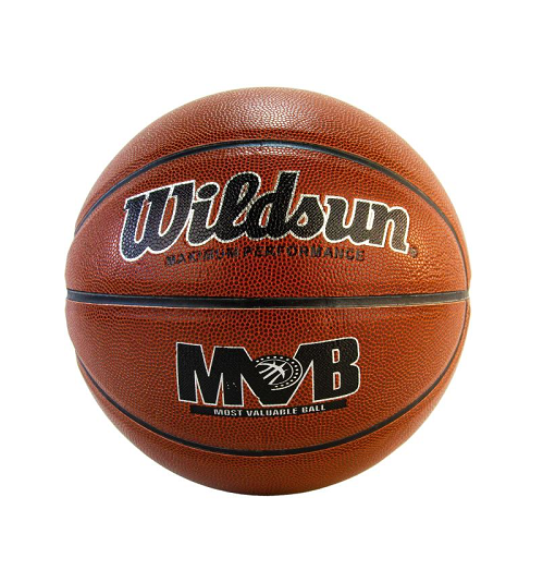 Μπάλα για παιχνίδι μπάσκετ Wildsun Basketball | G for Gadget