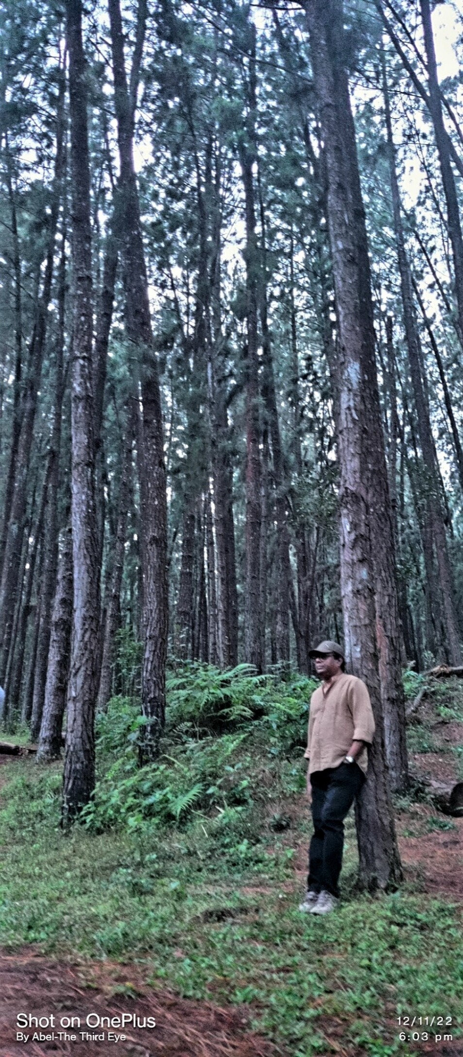 Saji Abraham (@saji@mastodon.world) - Mastodon