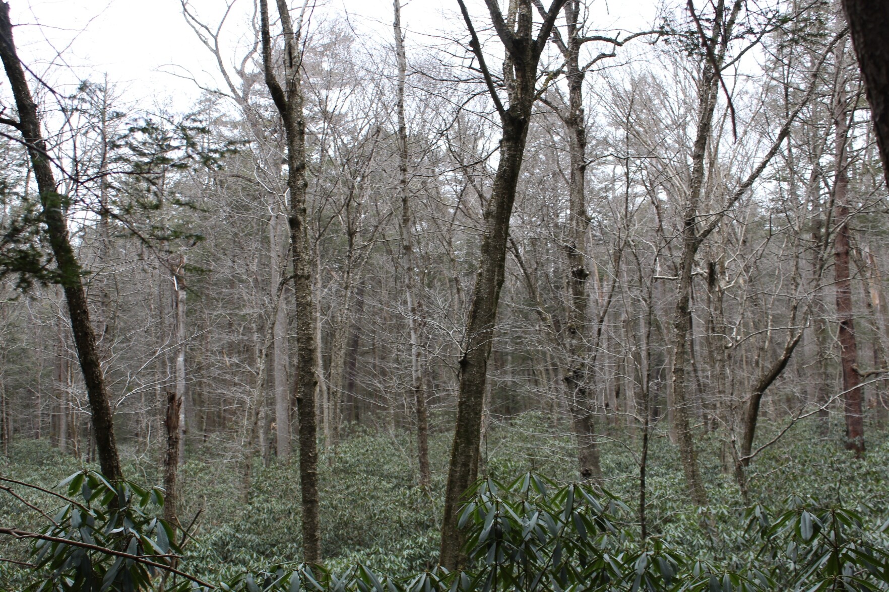 Daryl Cameron (@darylcameron@mastodon.world) - Mastodon