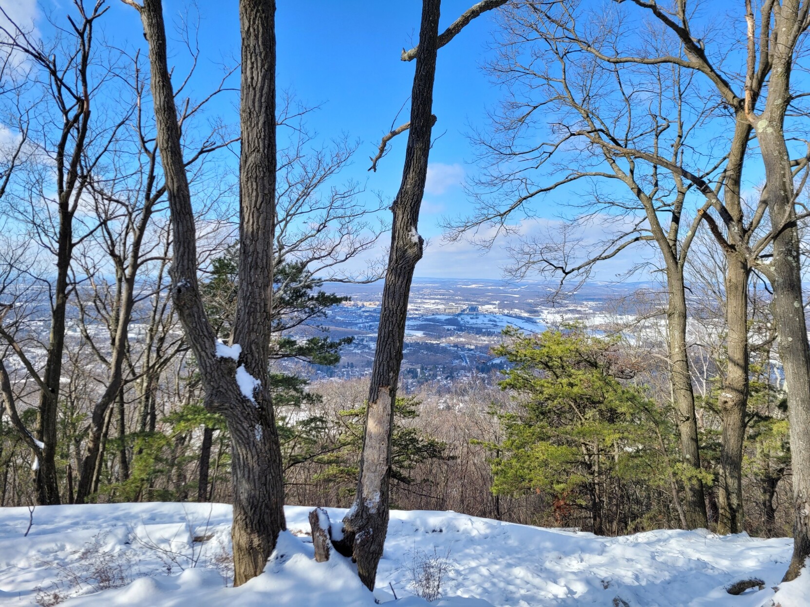 Daryl Cameron (@darylcameron@mastodon.world) - Mastodon