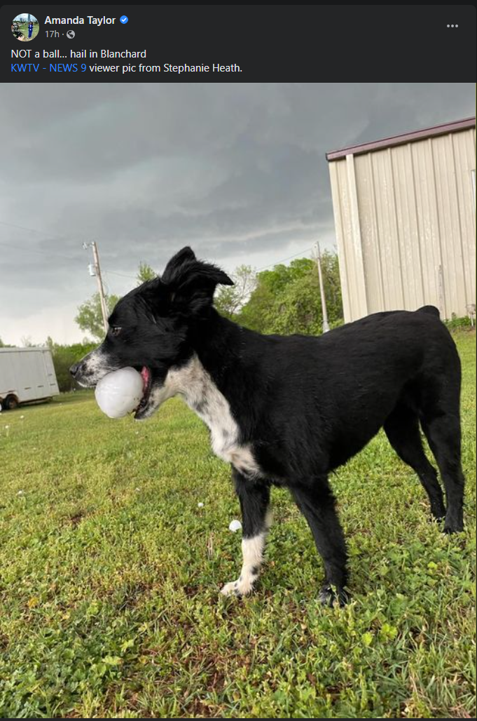 WeatherMatrix (Jesse Ferrell) (@weathermatrix@mastodon.world) - Mastodon