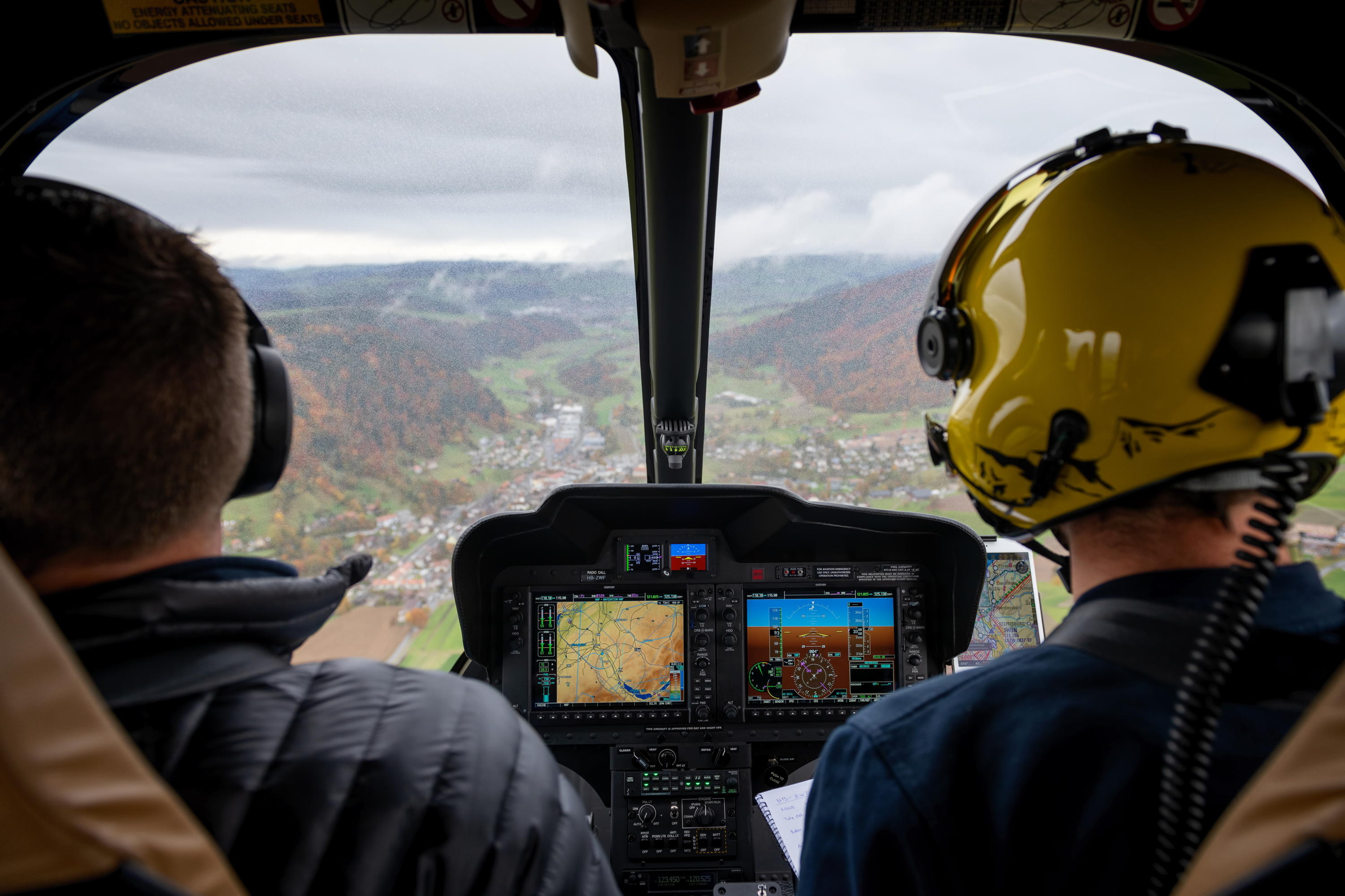 Elan Head (@elanhead@mastodon.world) - Mastodon