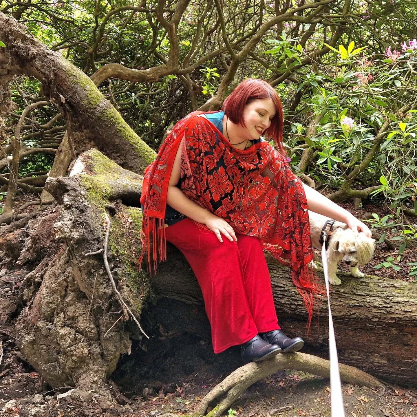 Hannah_Rama: "Archie demands the spotlight too! 👑🌟🐾 Photograph…" - Mastodon