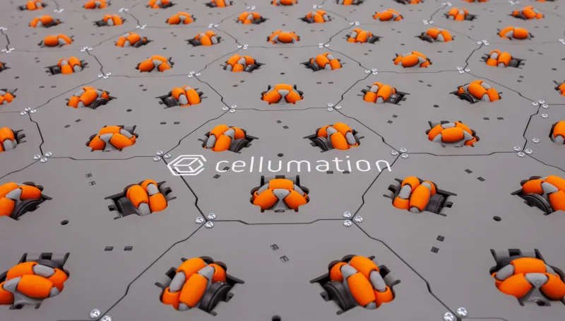 Conveyor System | MM Solutions