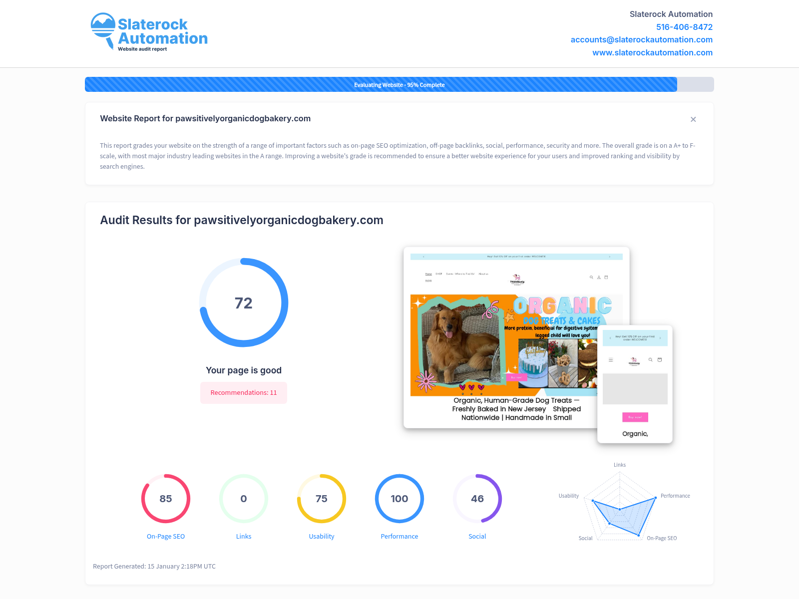 Pawsitively Organic Dog Bakery Reviews: Pros, Cons, & Website Analysis